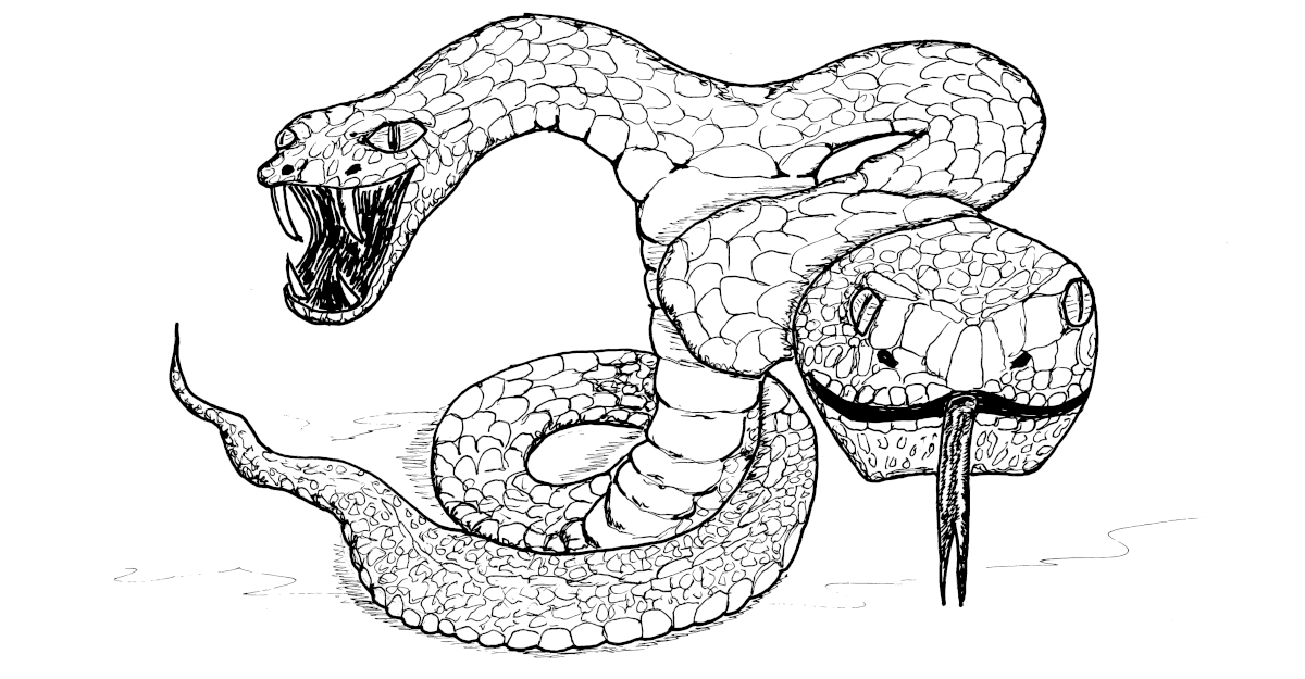 Four Two-Headed Snakes are as Good as a Hydra - Session #136 • Empty Z